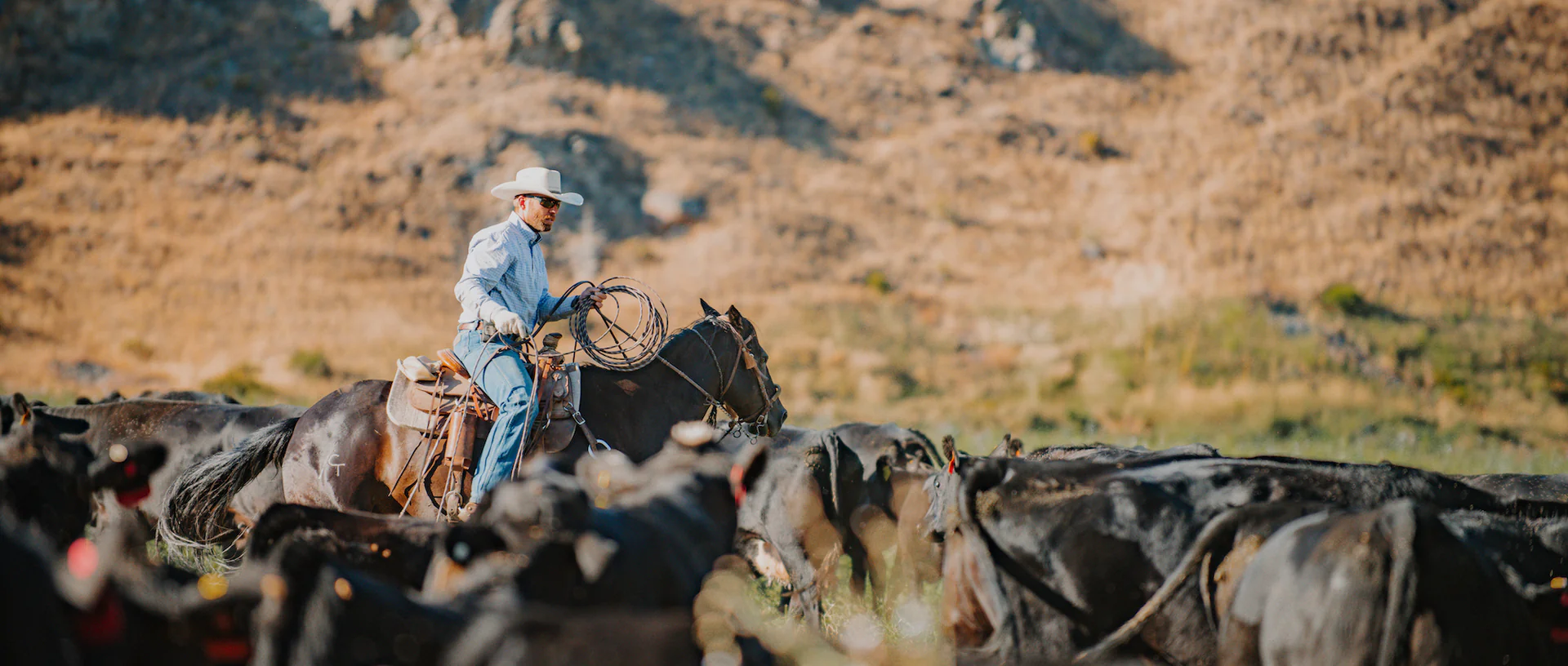 Our Ranchers - Country Natural Beef